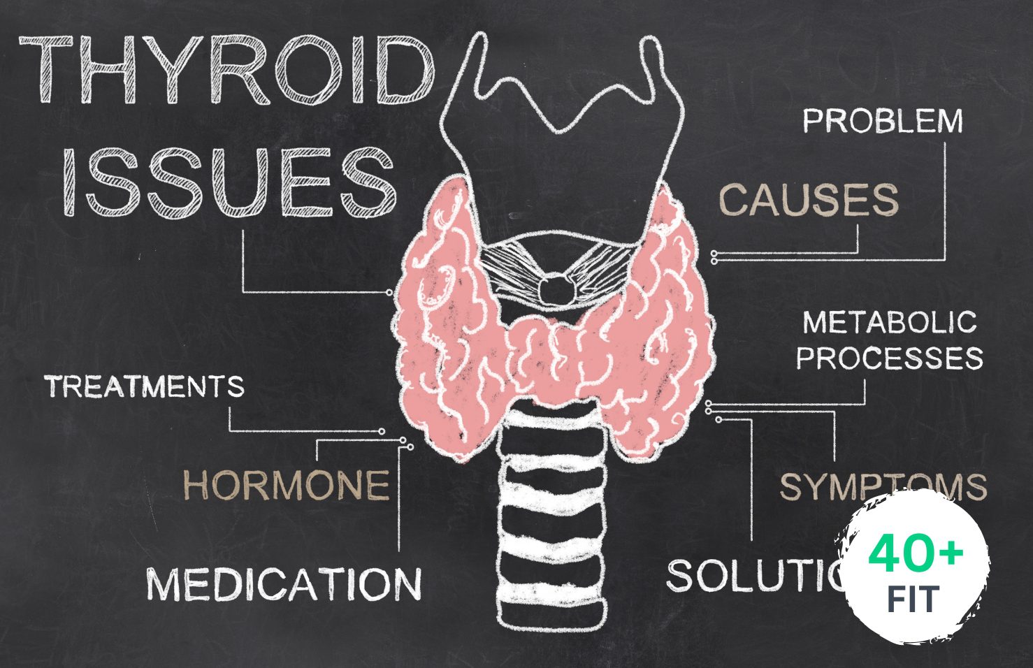 Thyroid Function Testing A Guide For Better Understanding 8568